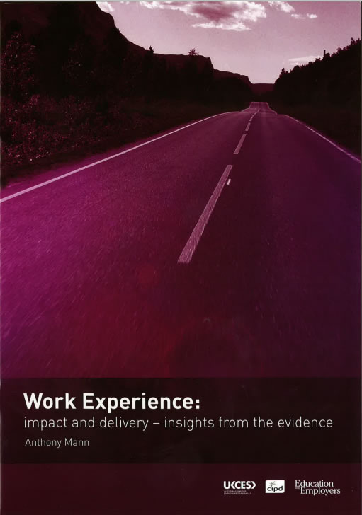 Work Experience: Impact and Delivery - Insights from the Evidence ...